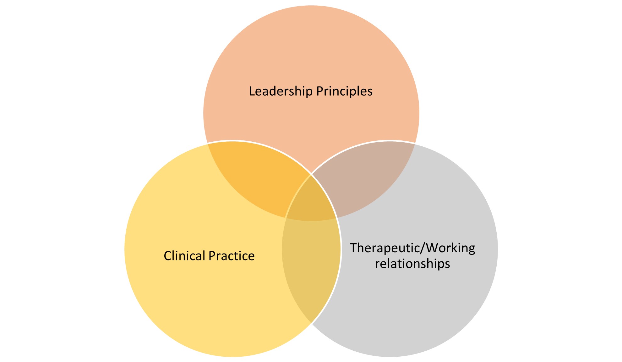 Being a Leader Within Practice | HSU Clinical & Rehabilitation Services
