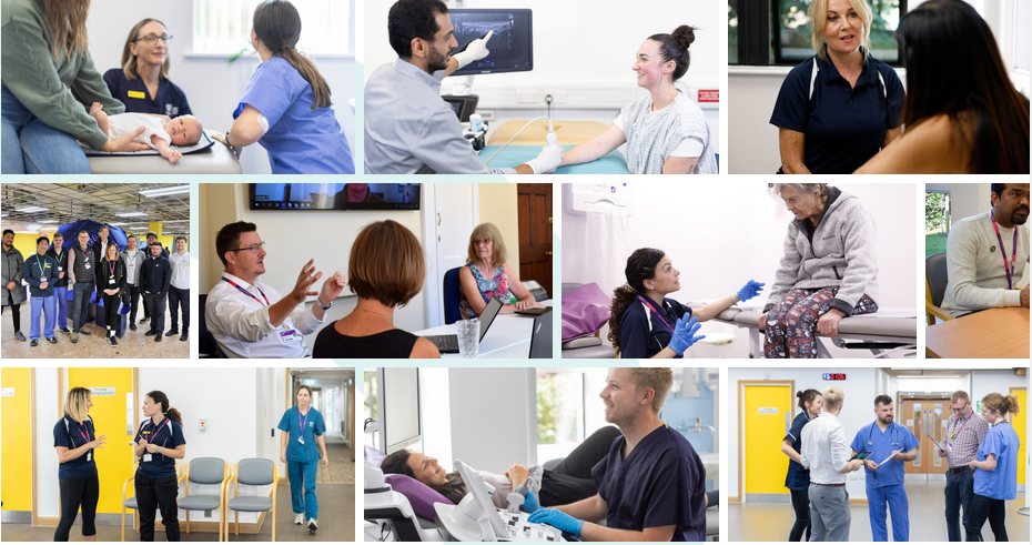 Meet our team | HSU Clinical & Rehabilitation Services